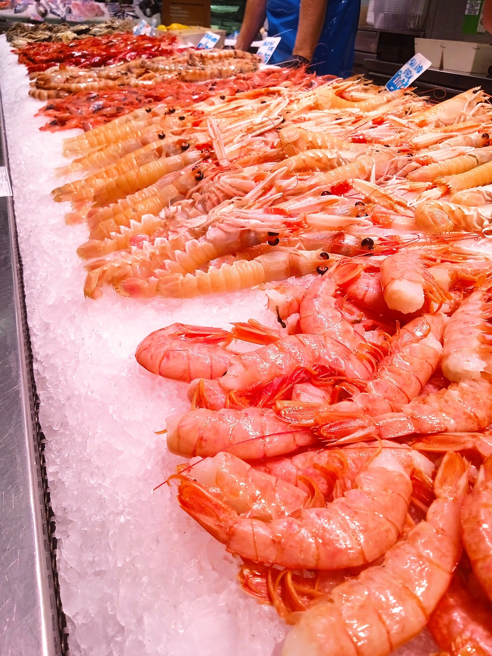 Le Marché Central – Valencia – Fan Valencia